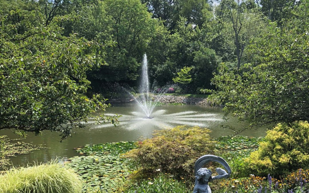 Spring Tune-Up Kit Specials 2020 | Solar Pond Aerator | Best Pond Fountain
