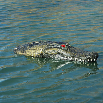 Pond Predator Control | Keep Geese Away | Pond Management